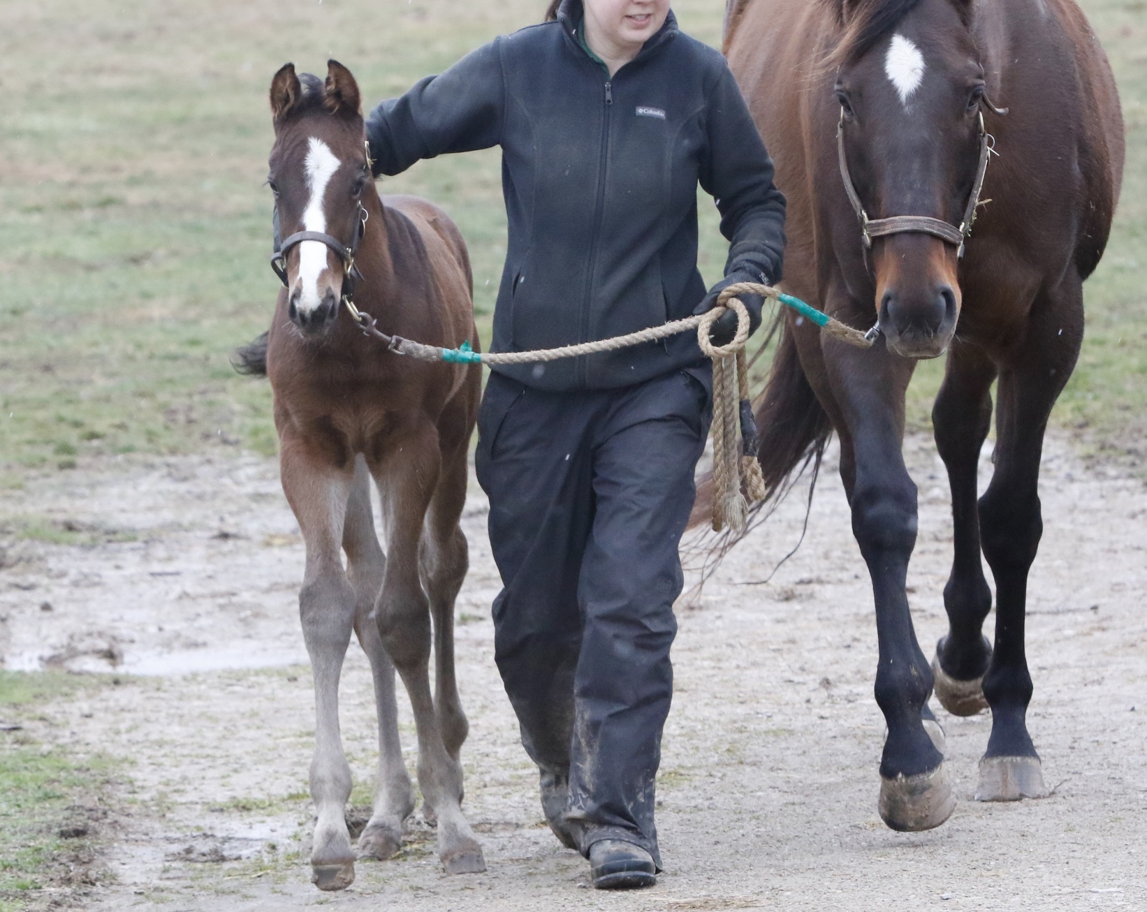 20 GRACE HALL | Lane's End
