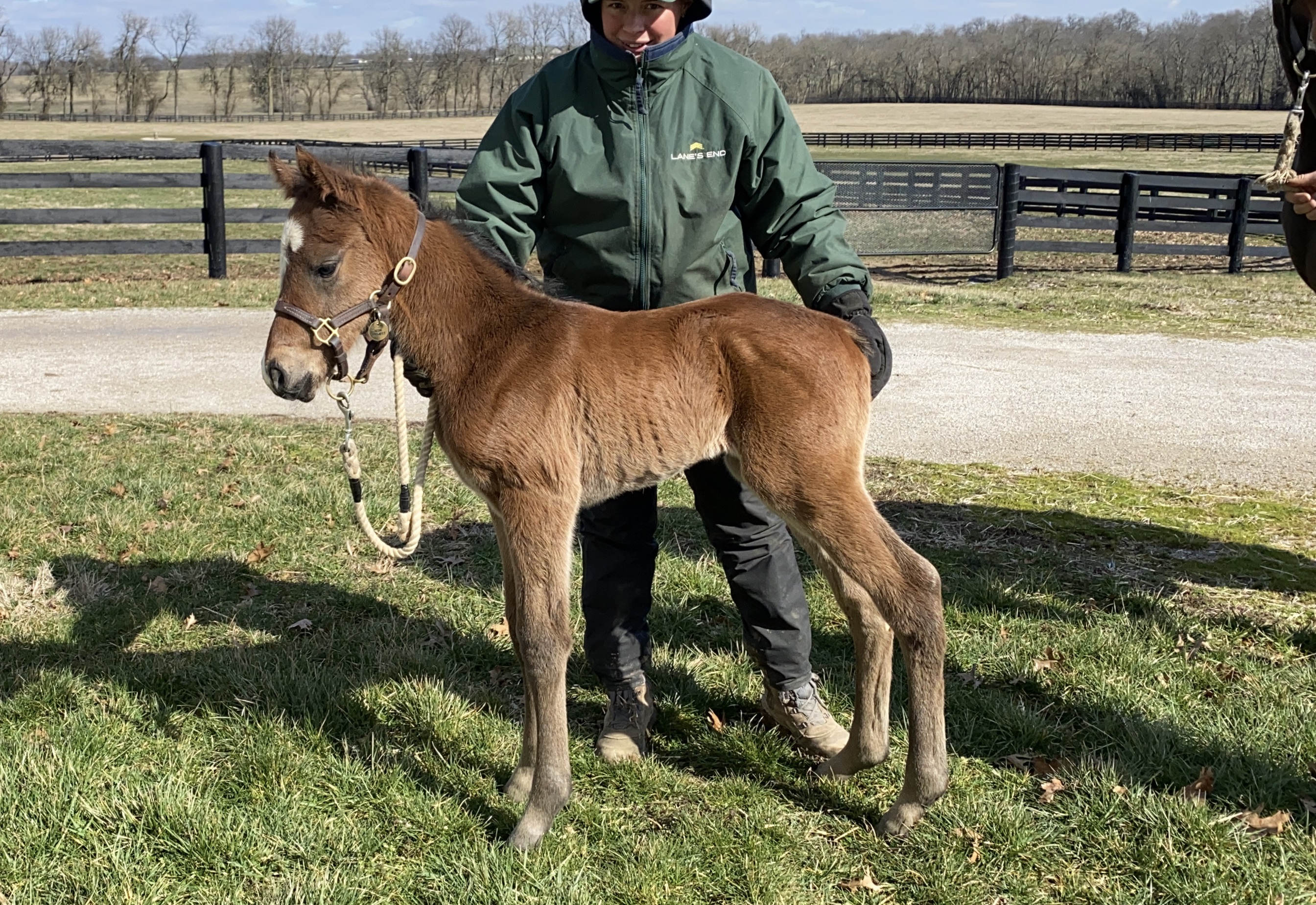 20 ICON PROJECT | Lane's End