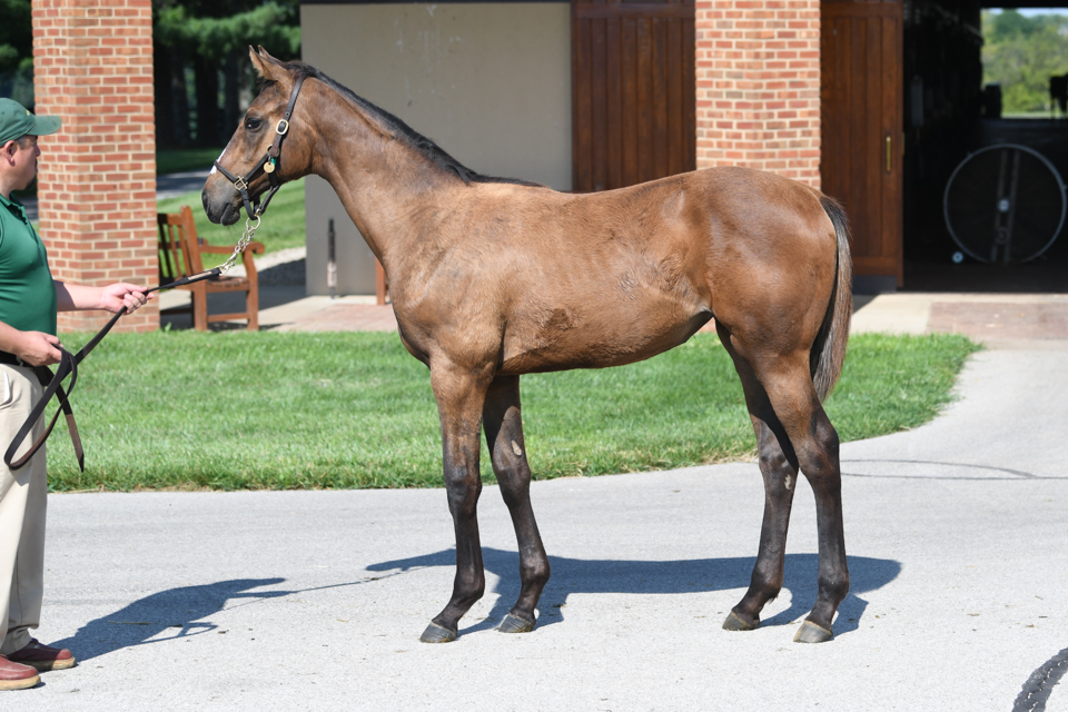 20 GRACE HALL | Lane's End