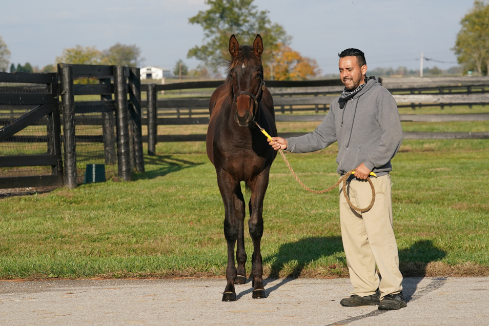 20 BLOODY POINT | Lane's End