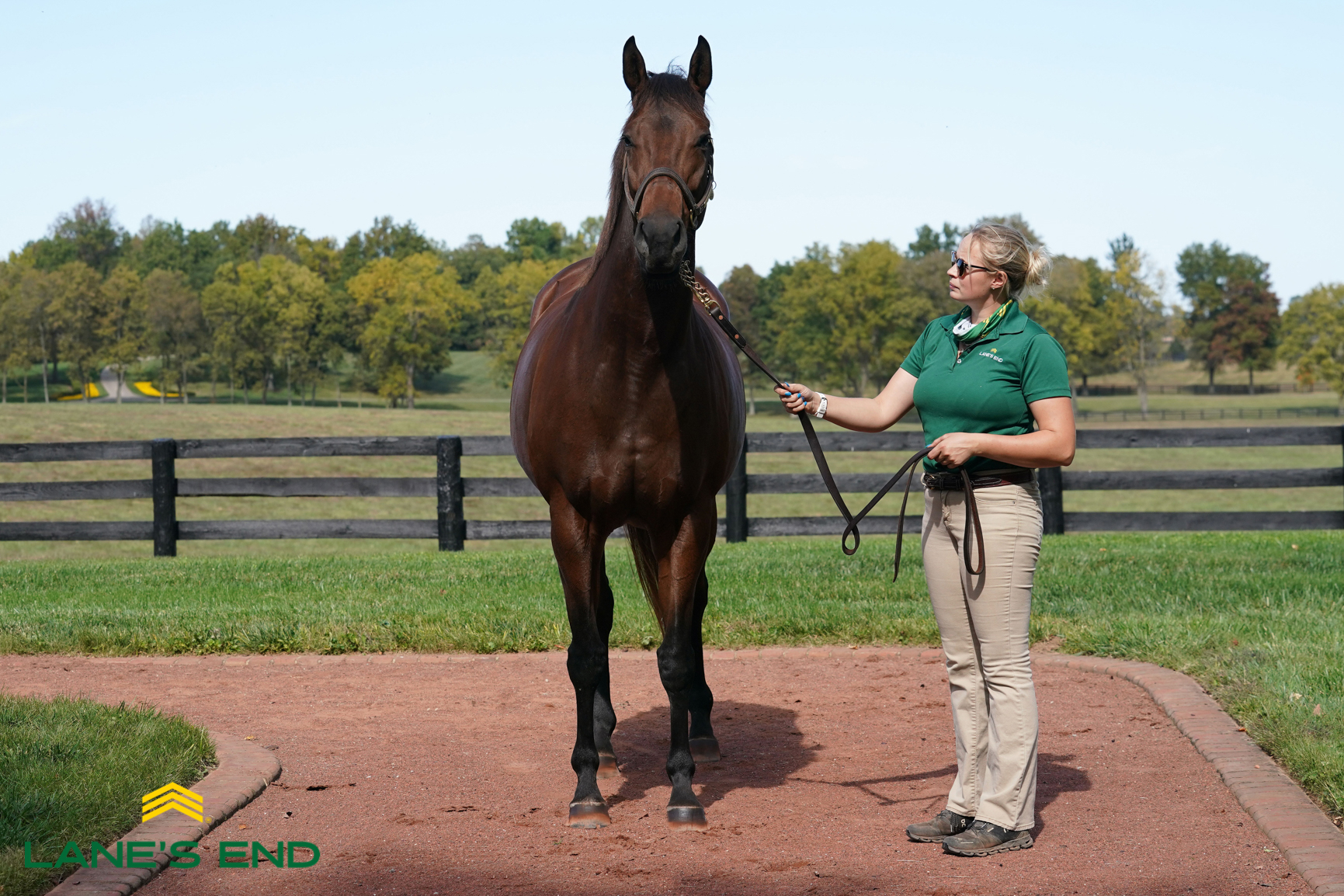 ALTER MOON | Lane's End