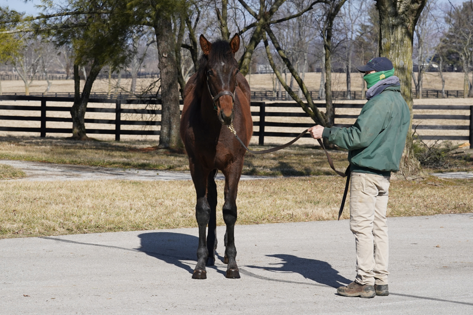 20 BLOODY POINT | Lane's End
