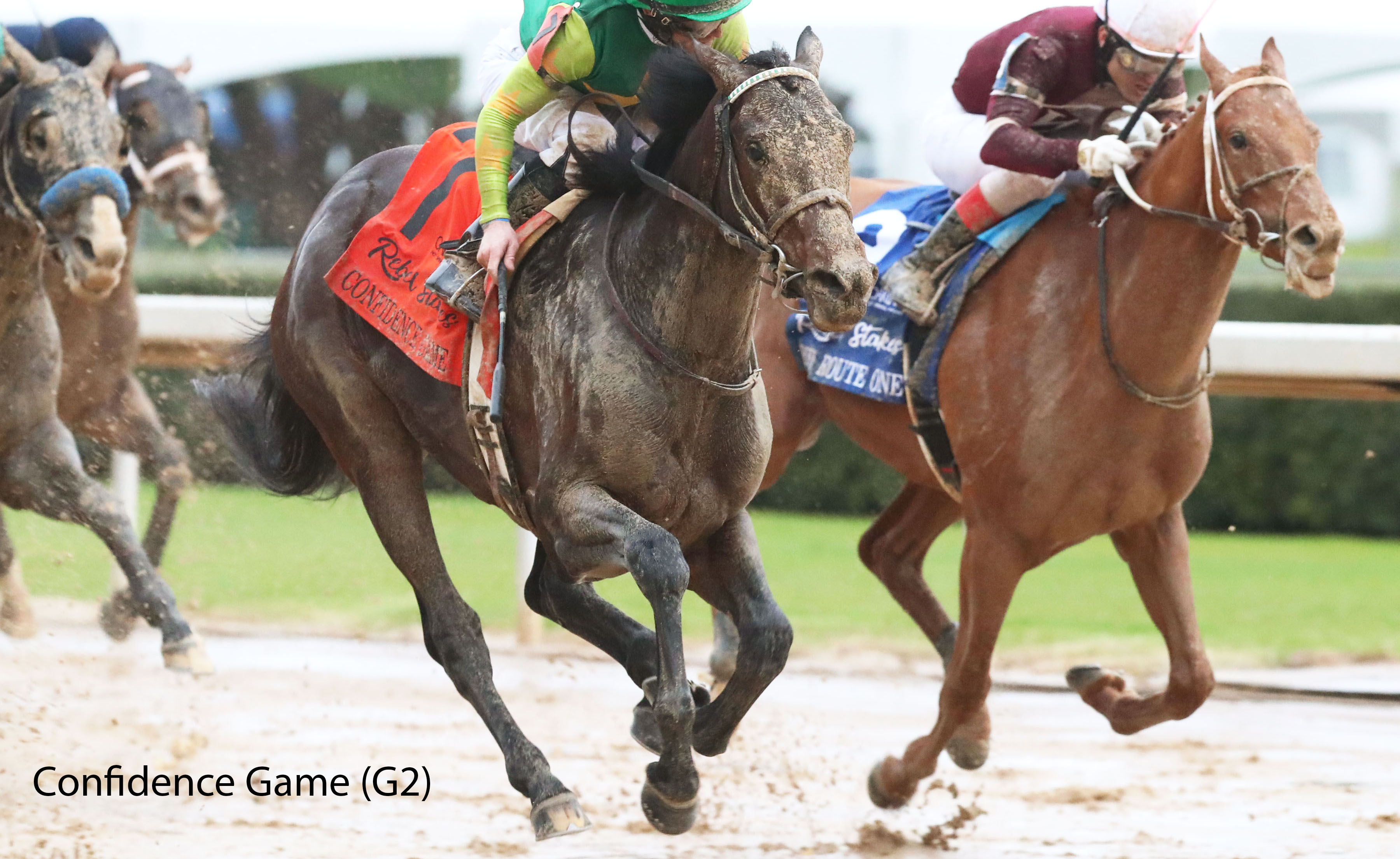 CANDY RIDE | Lane's End