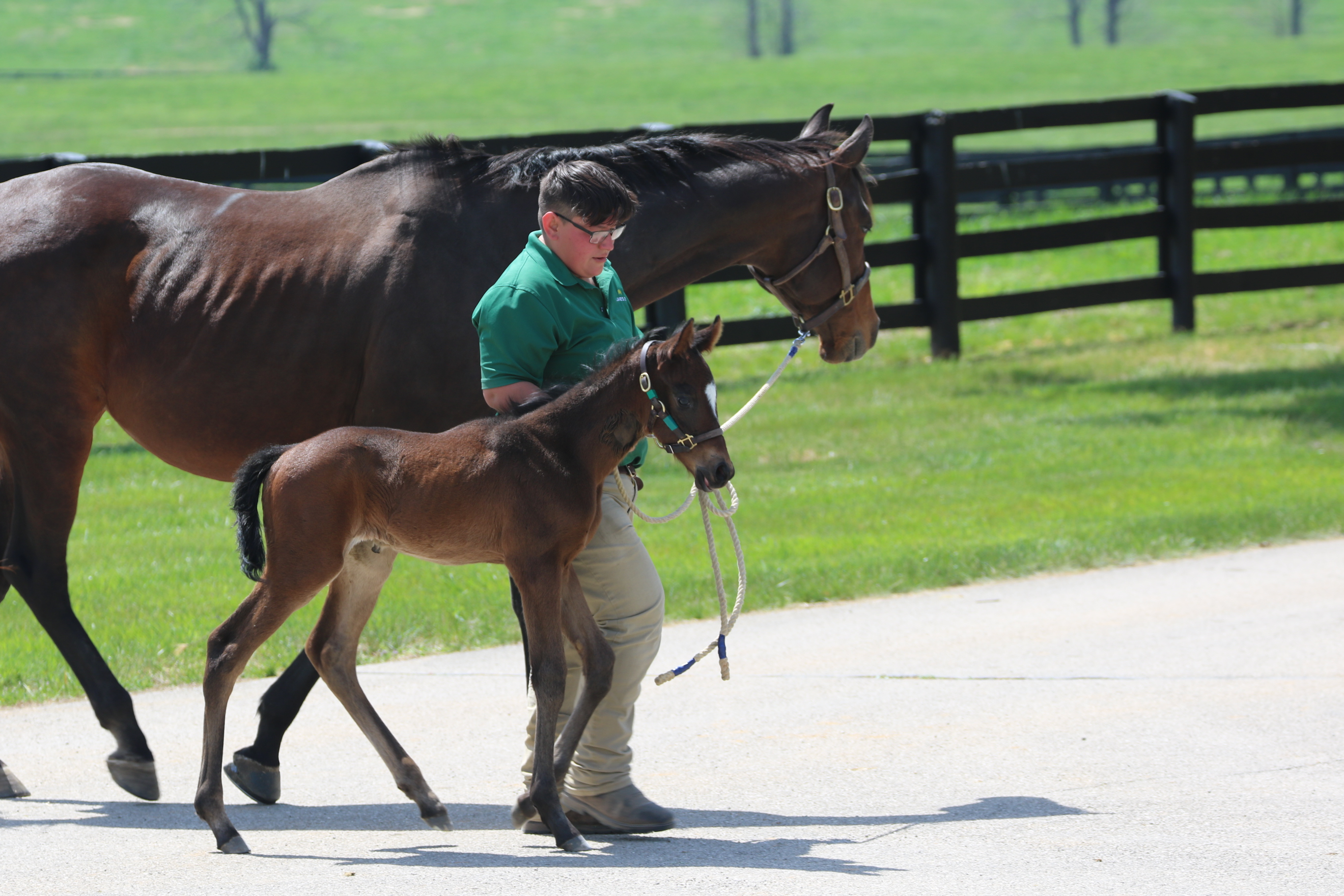 23 ICON PROJECT | Lane's End