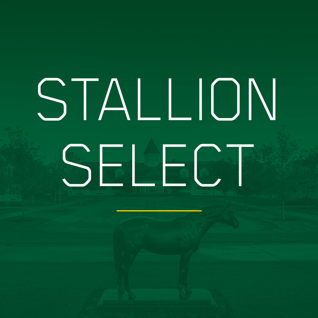 Stallion Select | Lane's End
